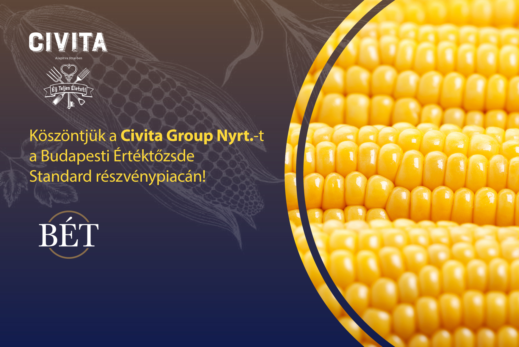 Tartalmak - Bet site